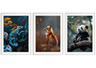 Animalia - plakáty zvířat - POSTERX